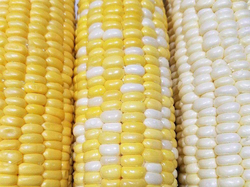 Sweet Corn - Shawn On Food